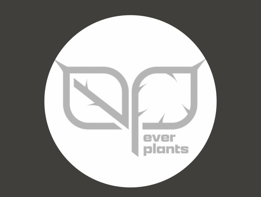 ever_plants【アガベショップ】 | BEAT GARDEN 〜Agave育成研究所〜