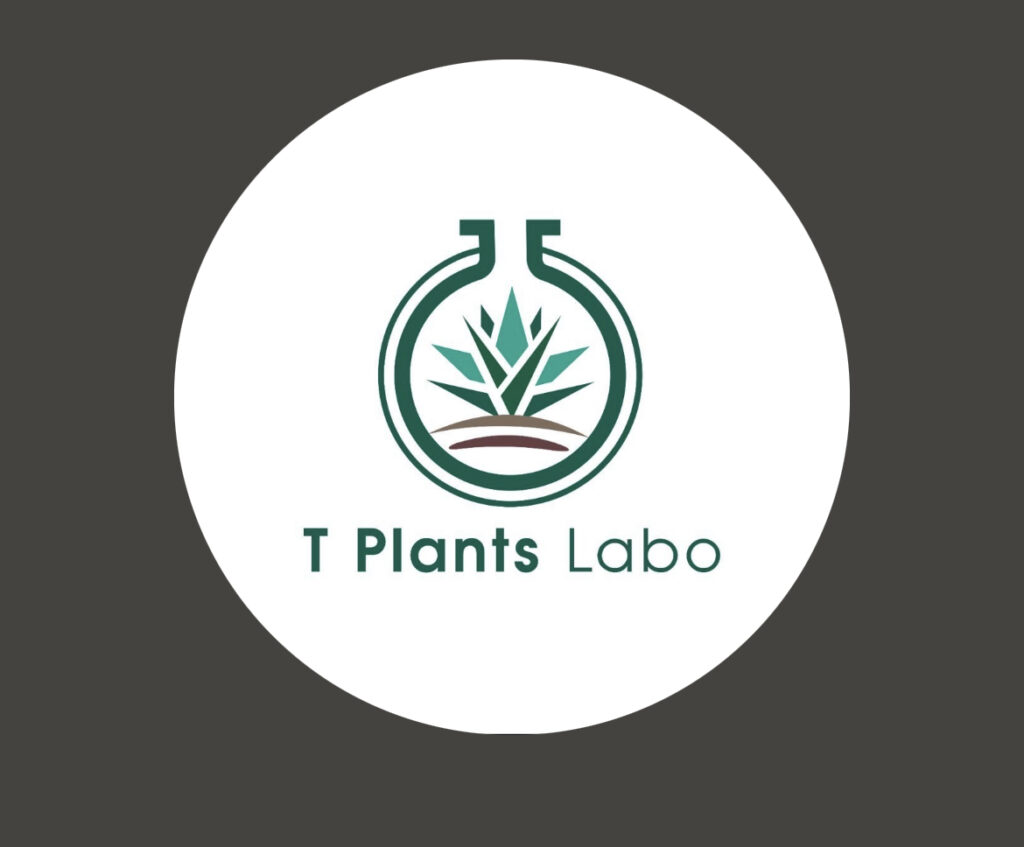T Plants Labo | BEAT GARDEN 〜Agave育成研究所〜