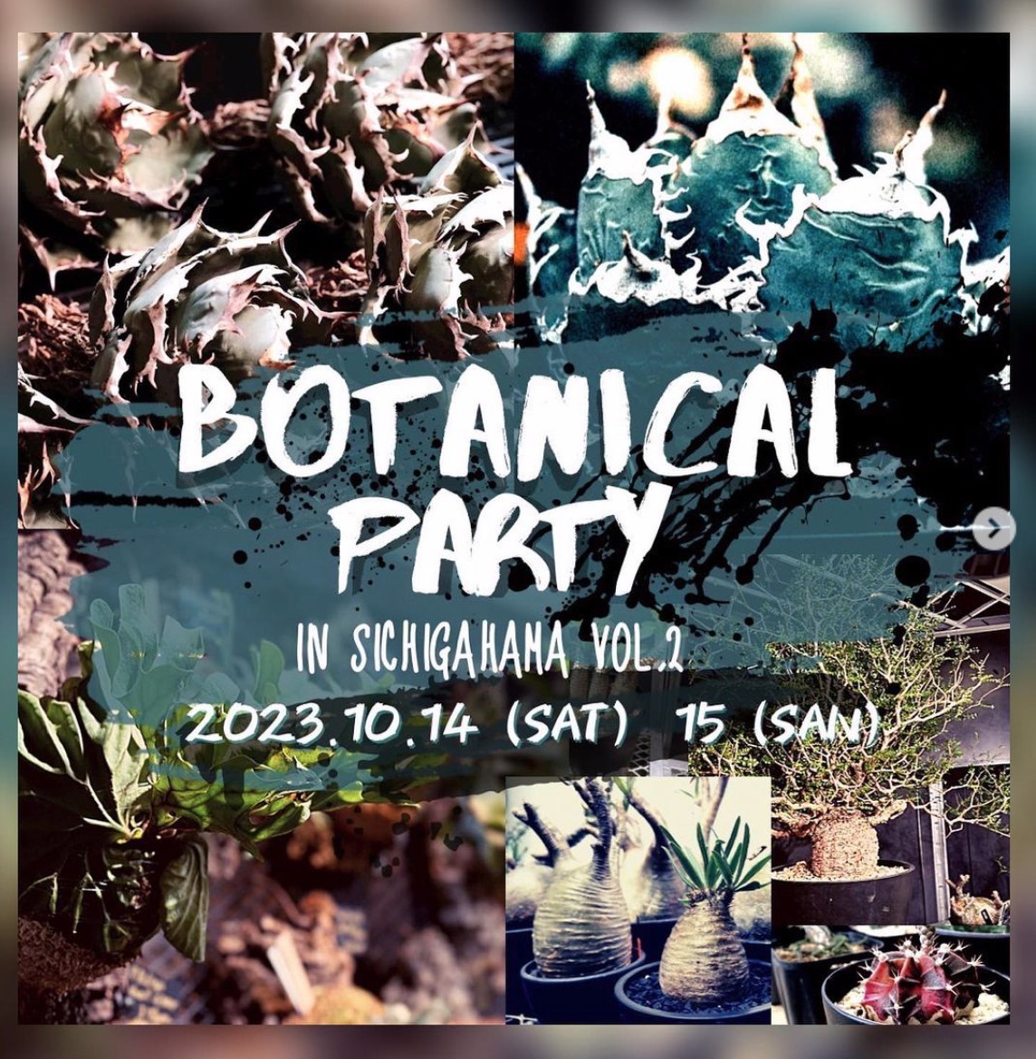 イベント情報：BOTANICAL PARTY in 宮城 vol.2 | BEAT GARDEN 〜Agave育成研究所〜