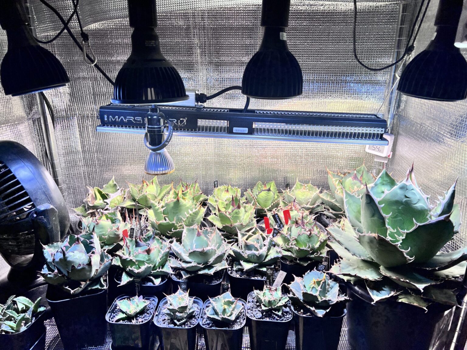 【植物育成LED上級編】 UV/PPFD 計測器決定版 | BEAT GARDEN 〜Agave育成研究所〜